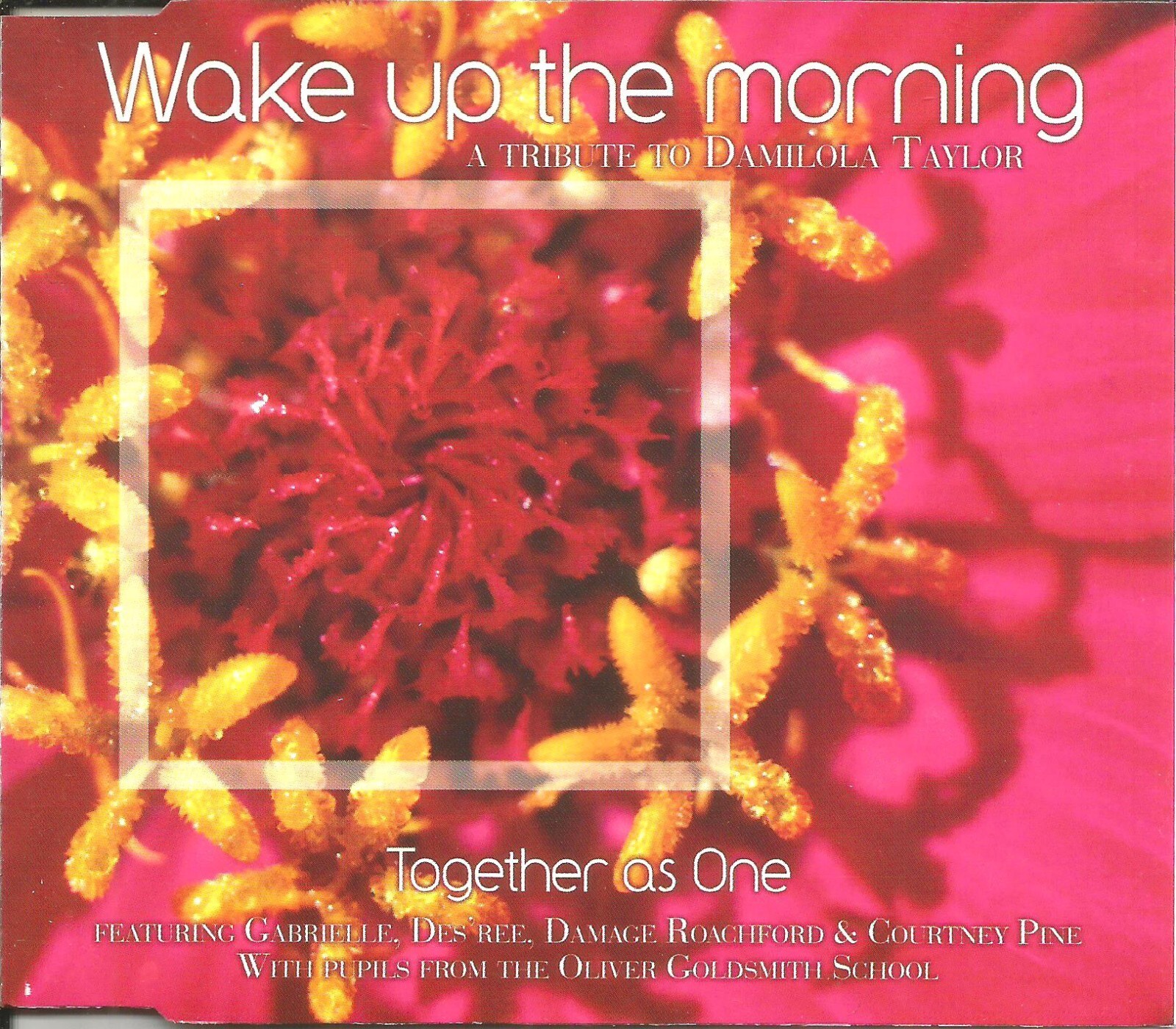 DES’REE Roachford GABRIELLE Courtney Pine Together as One MIXES CD ...