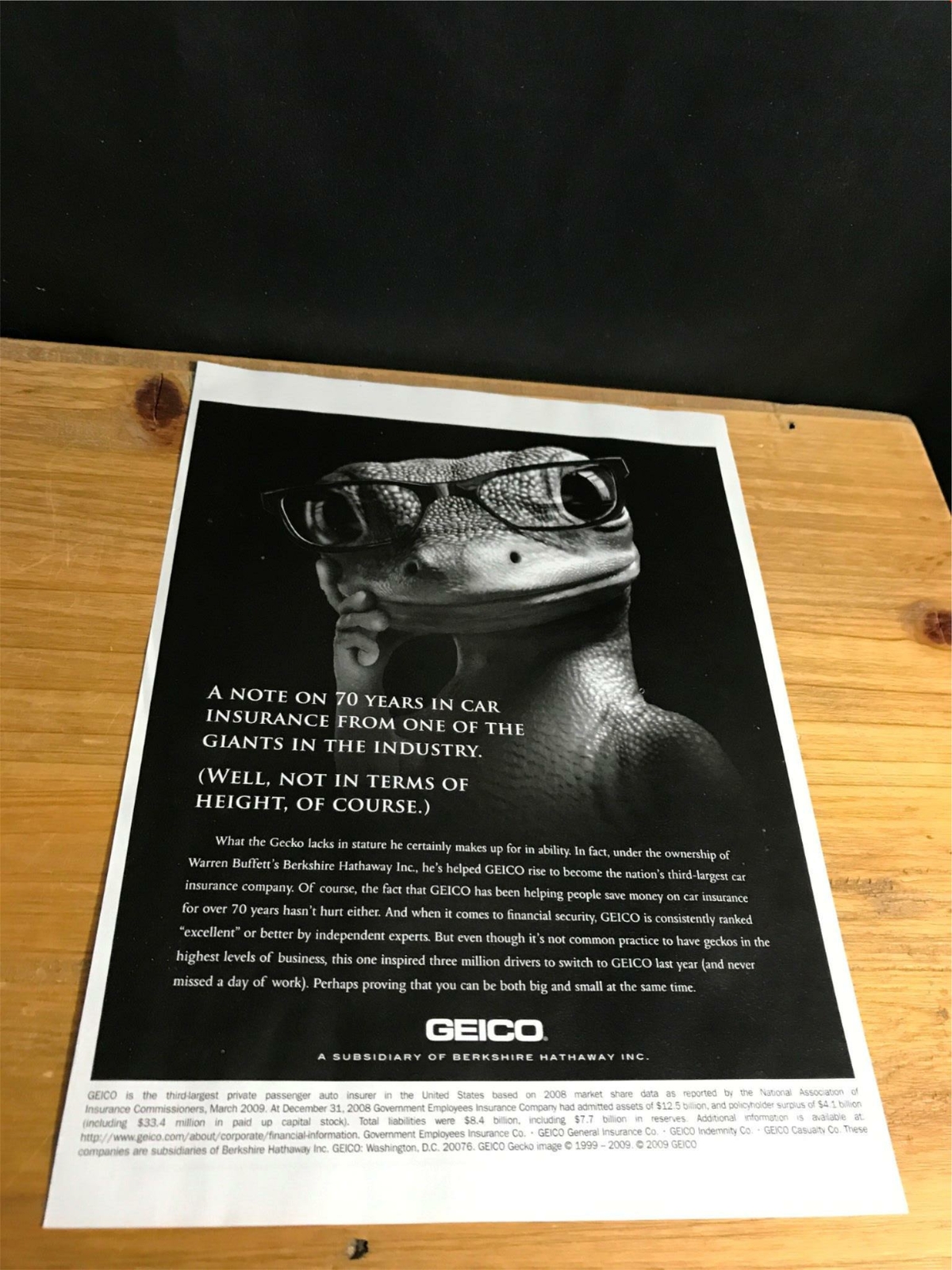Geico Gecko Glasses