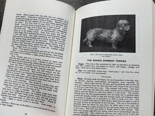 dandie dinmont terriers hunting champions crufts history dogs ...