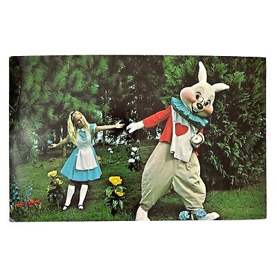 Walt Disney World Postcard Alice Wonderland Florida Unused Vintage ...