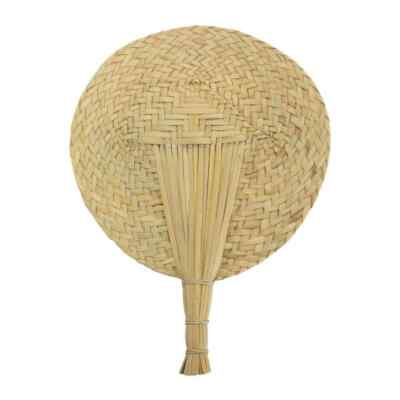 Annabel Trends Water Grass Fan Small Home Deco 100% Water Grass ...