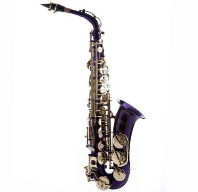 Hawk Colored Student Purple Alto Saxophone with Case, Mouthpiece and ...