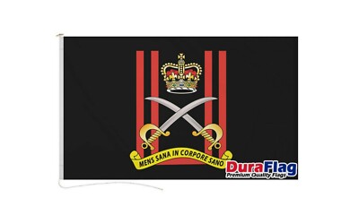 ARMY PHYSICAL TRAINING CORPS 90cm x 60cm FLAG DURAFLAG Rope & Toggle | eBay