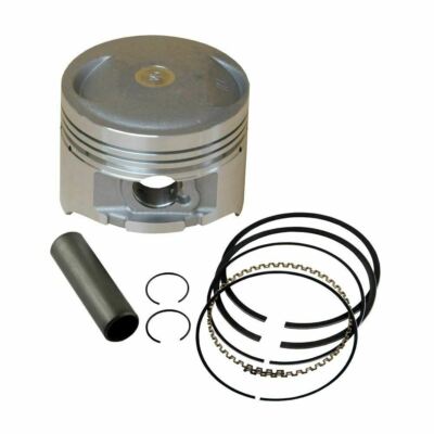 Piston Kit 0.50mm For Baotain BT 50 QT-9N 2006-2007 | eBay UK