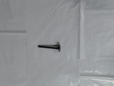 Genuine OEM Kawasaki VALVE-EXHAUST 12005-7005 12005-7013 | eBay