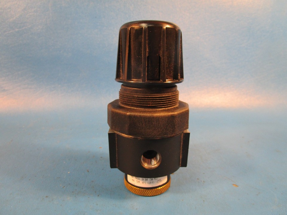 Watts R10-04A/M3 Pressure Regulator, 21 Bar/300 PSI Max, 1/2 NPT | eBay
