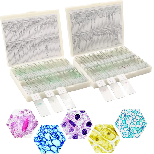 200 Packs Microscope Slides, 100 Plants & 100 Animal Tissues Includes ...