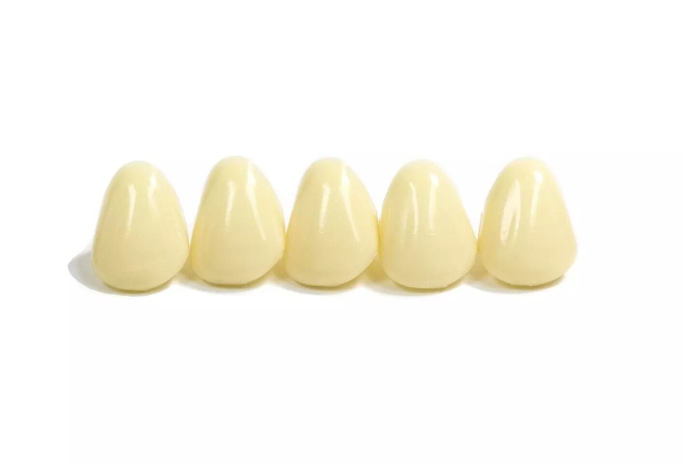 Dental Temporary Crowns Polycarbonate Crowns For Anterior & Bicuspid ...