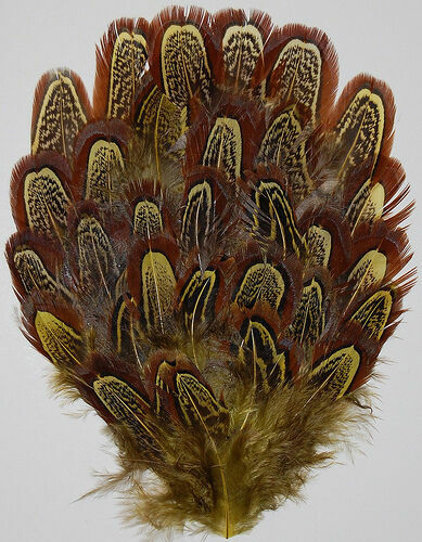 DYED PHEASANT FEATHER PAD - VARIOUS COLORS Headbands/Beads /Hats ...