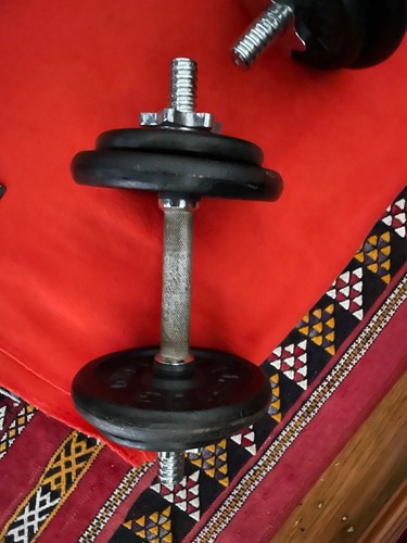 weight set with case various weights | eBay