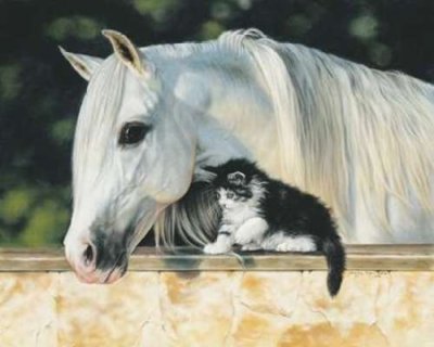 Making Friends By Lesley Harrison Cat Horse Print 16.5x13 | eBay