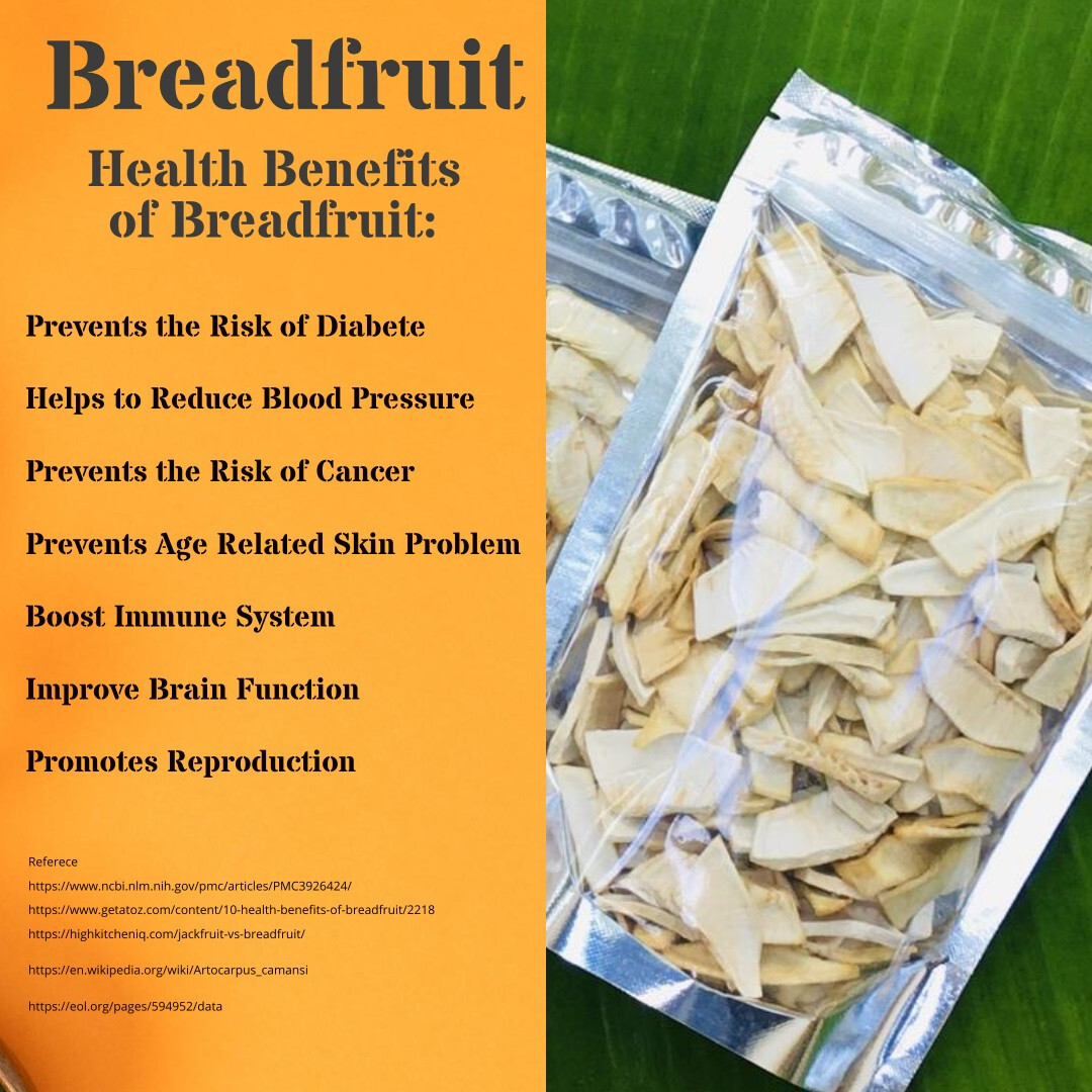 Dried Breadfruit Slices - Vegan, Ready to Cook 50g | eBay