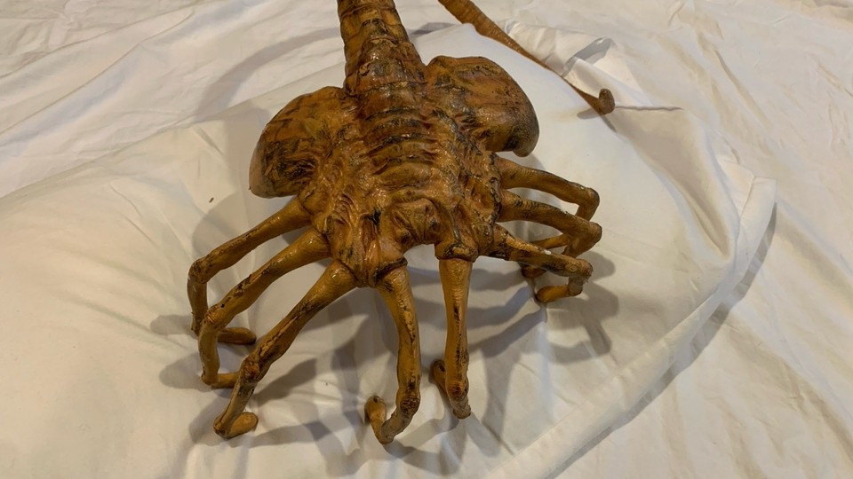 1:1 Scale Alien Aliens Facehugger Replica Model | eBay