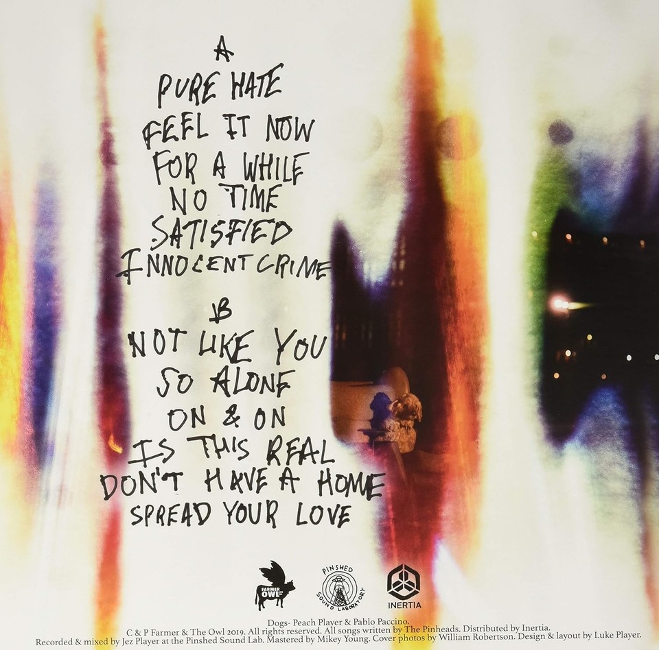 Pinheads Is This Real (Vinyl) | eBay