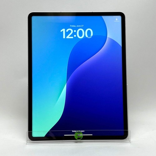 WiFi Only Apple iPad Pro 12.9" 6th Gen 256GB Silver A2764 | eBay