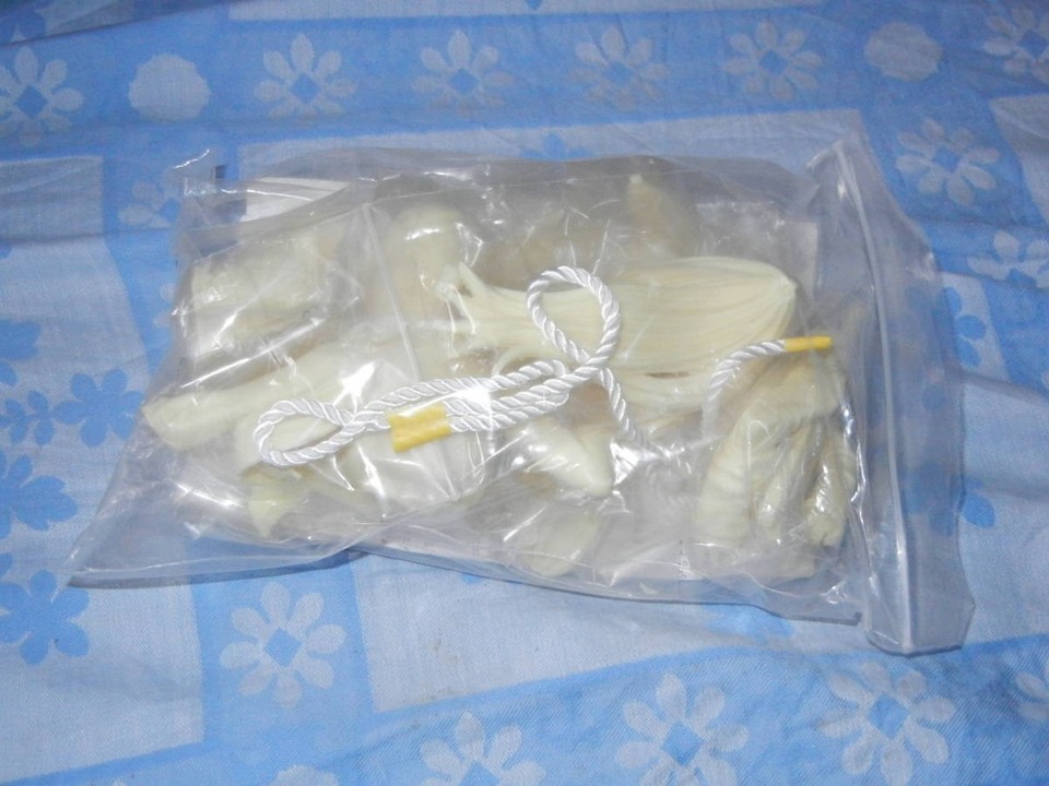 Wonder Festival KOF Mai Shiranui Garage Kit Rare WHF Hobbycon WF Trefes ...