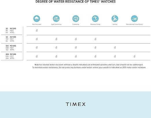 Timex TW4B20400, Men's "Expedition" Chronograph Leather Watch, Alarm, Indiglo | eBay