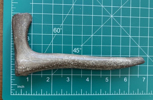 Neolithic Prehistoric Artifact Antler Pressure Flaking Tool For Flint ...