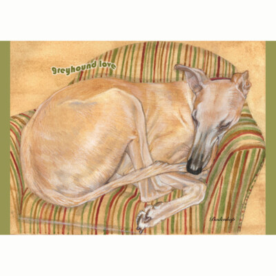 Greyhound Fawn Blank Note Cards Boxed Set of 10 cards & 10 envelopes | eBay