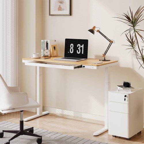 FlexiSpot Electric Stand Desk 120cm, USB, Drawer, Maple/White, Quick Install | eBay Australia