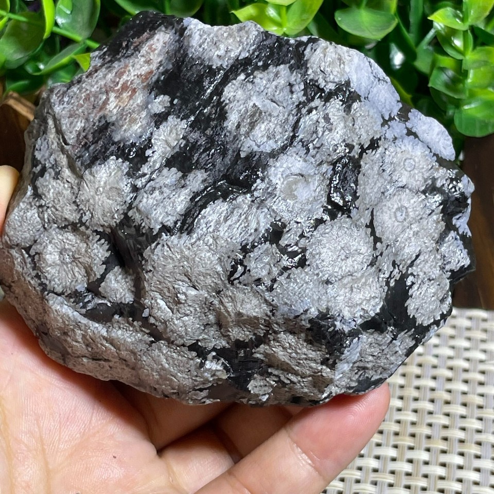 Alabaster Snowflake Obsidian raw stone rock rough original specimen ...
