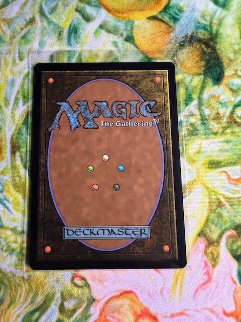 Restless Prairie (Borderless) MTG: LCI *Pack Fresh* | eBay