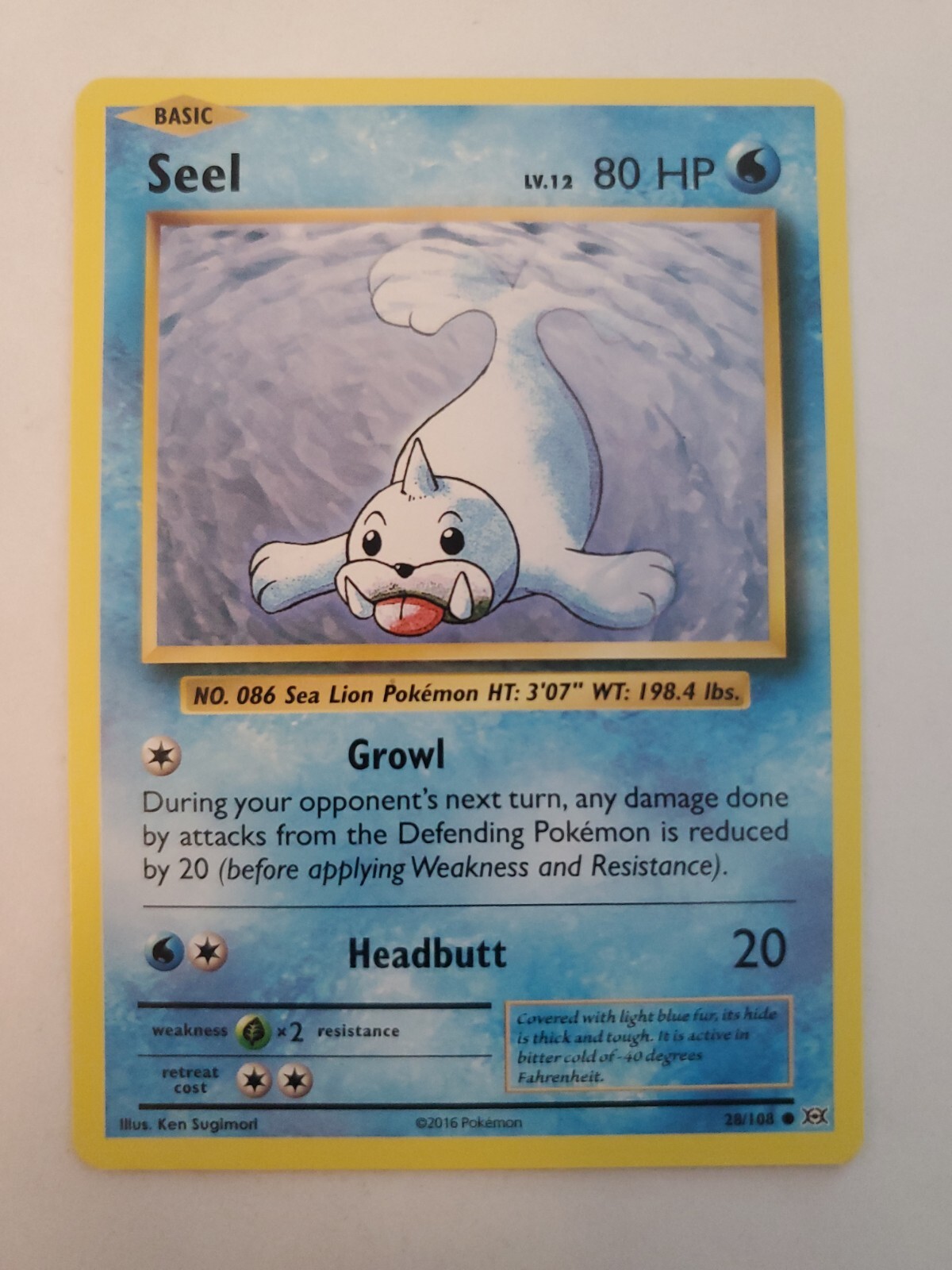 Pokémon TCG Seel XY Evolutions 28/108 Regular Common | eBay