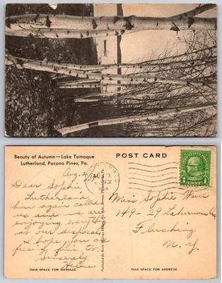 Beauty Autumn Lake Tamaque Lutherland Pocono Pines Postcard | eBay