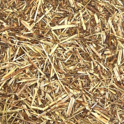 St. John's Wort Root BULK HERBS 8 oz. | eBay