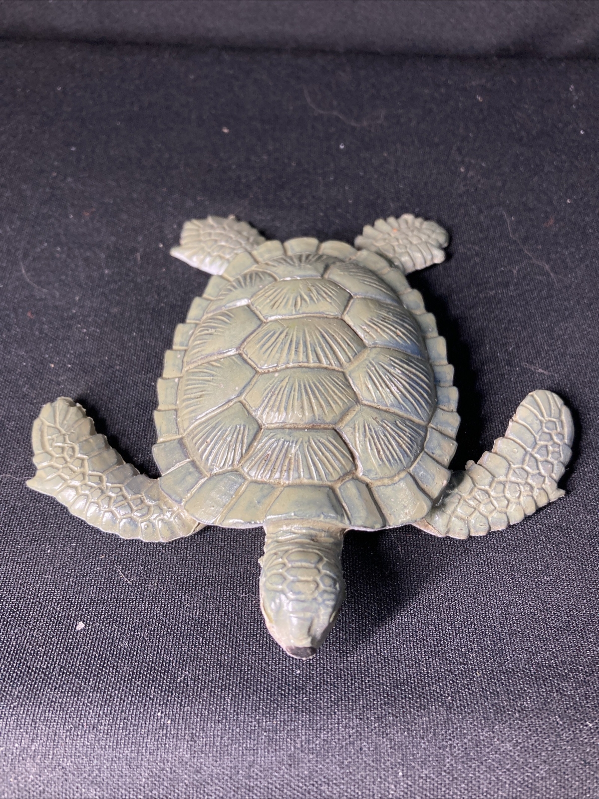 AAA Sea Turtle Made In China. | eBay Australia