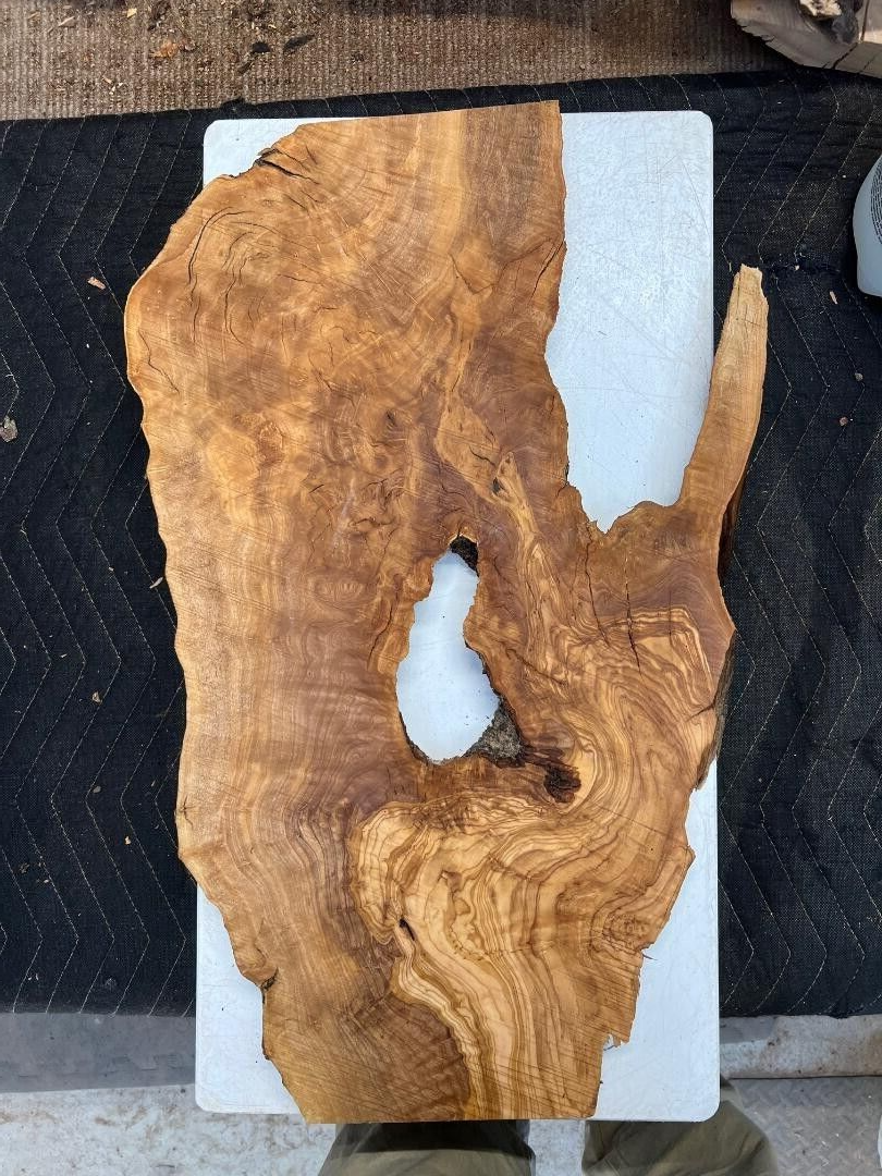 #66 OLIVE wood burl slab 200 yr old Rawcut 15x24 | eBay