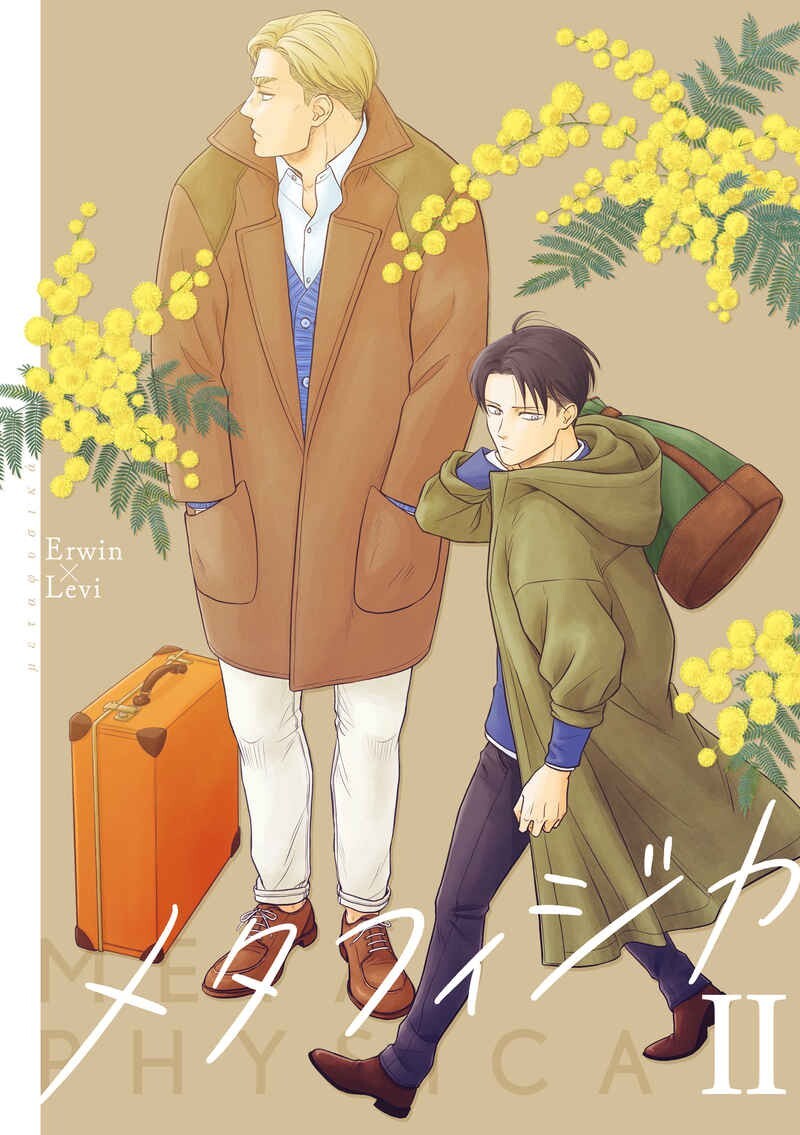 Levi X Erwin Doujinshi