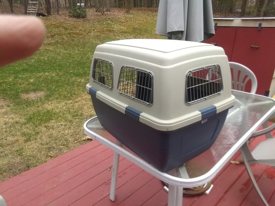 Marchioro Clipper 5 Cat/Dog-Pet Bin 32 1/4"L x 22"W x 23"H | eBay