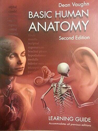 The Dean Vaughn Total Retention System: Basic Human Anatomy Learnin ...