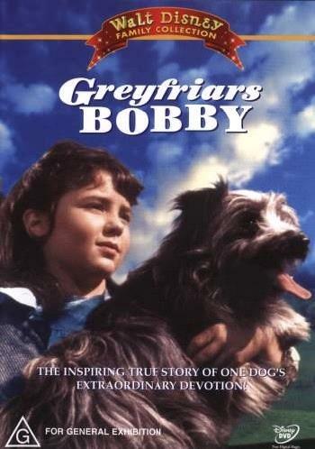 Greyfriars Bobby : Disney : brand new sealed dvd region 4 t899 ...
