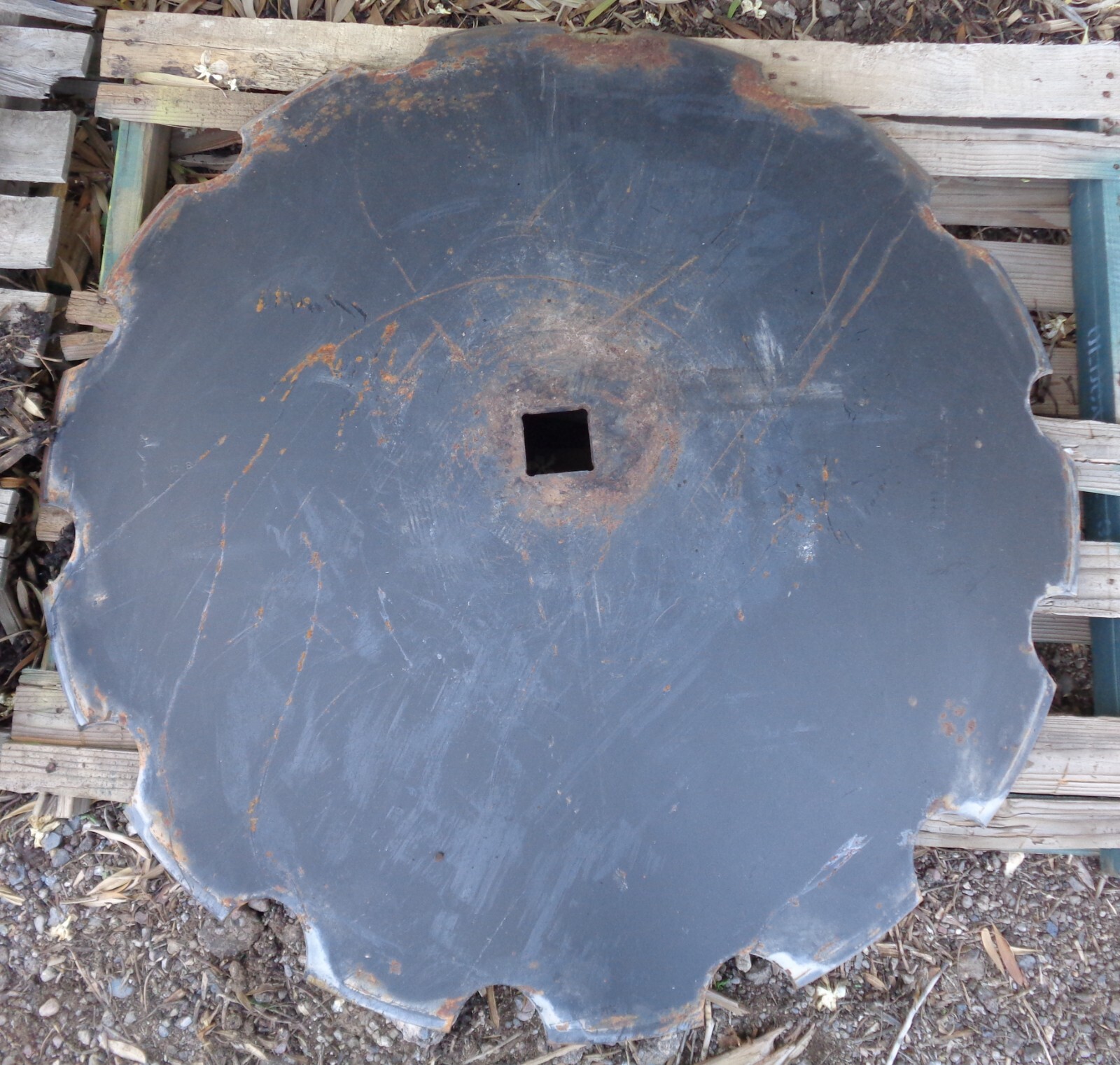 Tatu Disc Blade 42-inch Notched | eBay