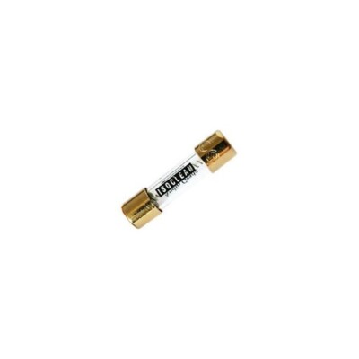 Isoclean Power Audio Grade Fuse 20mm x 5mm - (10.0A) | eBay