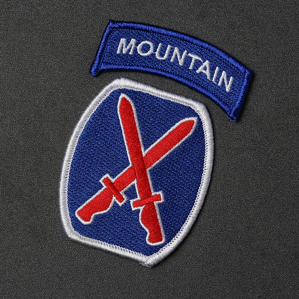 US Army TCU M65 Jacket Patch CIB Parachutist 10th Mountain Special ...