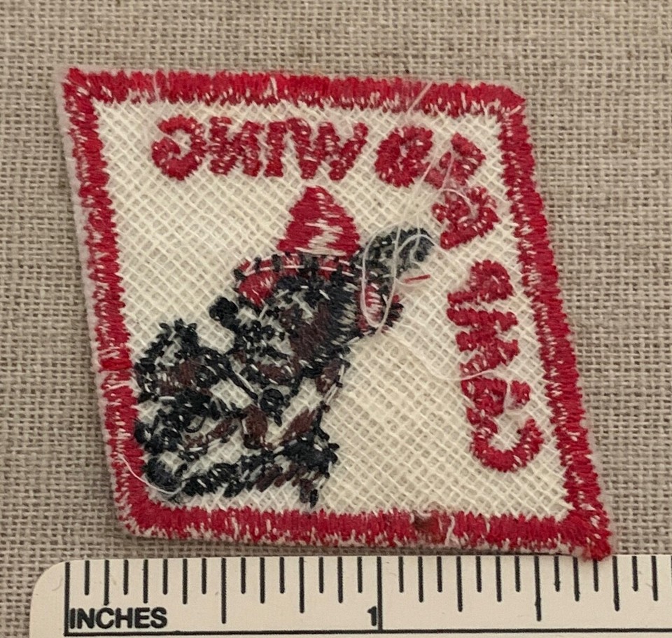 Vintage CAMP RED WING Boy Scout Hat Diamond PATCH BSA Badge Camping ...