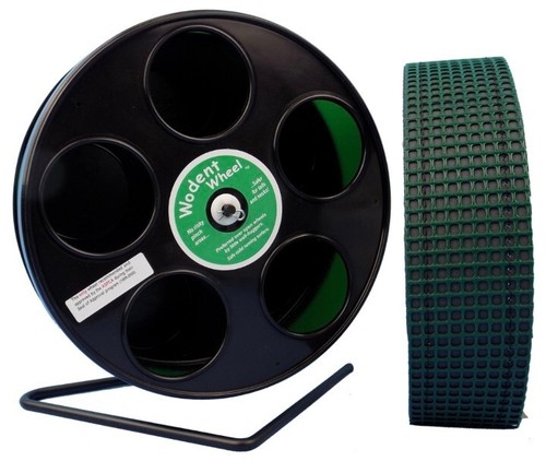 Wodent Wheel Junior 8" With Nail-O-Matic! - Small Hamsters, Mice, Sugar ...