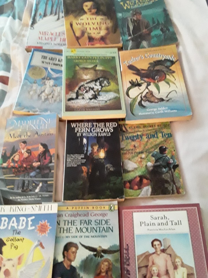 Lot of 12 Kids Chapter Books Age 7-12 Classics Sequels Classroom Use | eBay