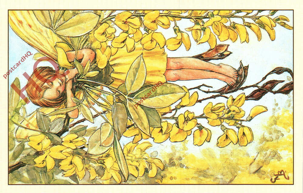 Picture Postcard>>Flower Fairies, Laburnum Fairy, Cicely Mary Barker | eBay