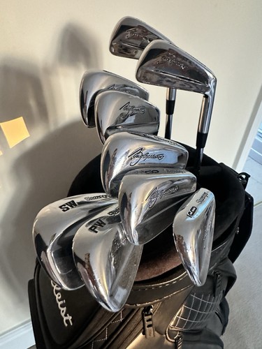 Slazenger Seve Ballesteros Irons 3-SW Stiff Flex Dynamic Gold Shafts ...