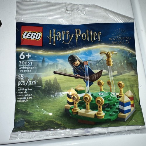 LEGO Harry Potter: Quidditch Practice Polybag 30651 lego mini figure ...