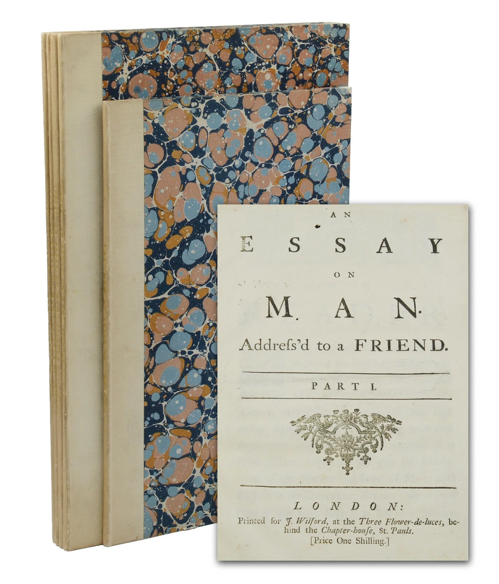 An Essay On Man