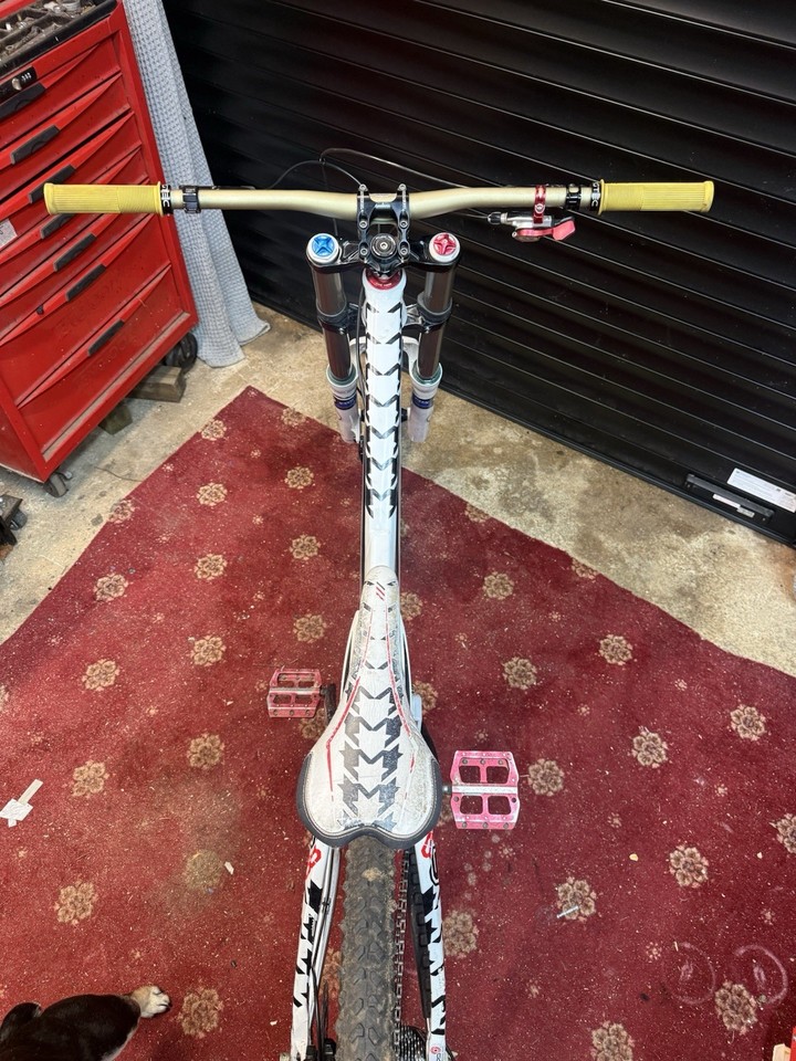 Trek Session 88 Downhill Bike | eBay UK
