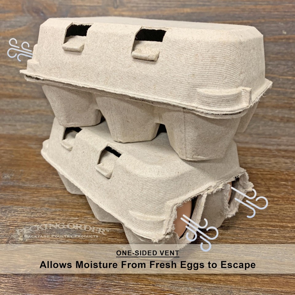 6-Egg Paper Egg Cartons - 24 Pack | eBay