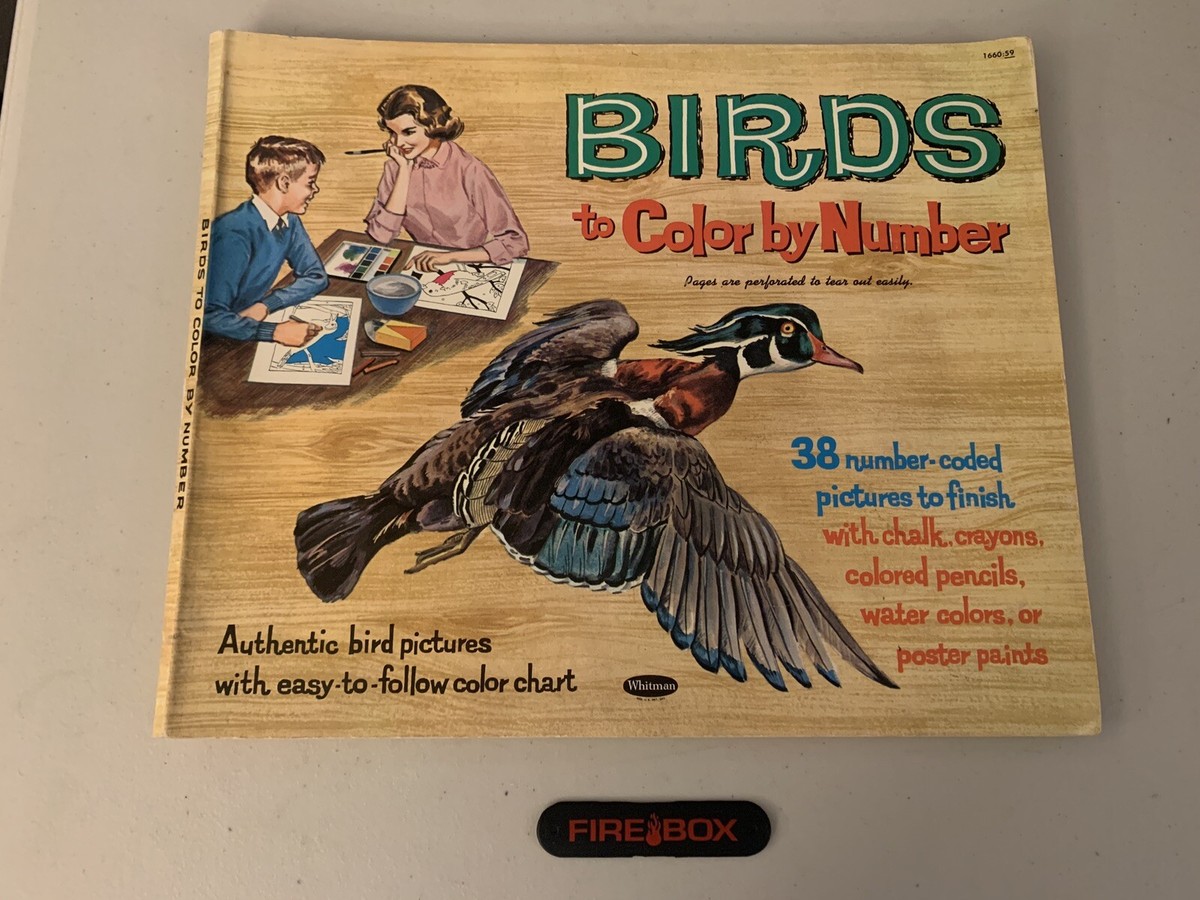 Color By Number Bird Coloring Pages