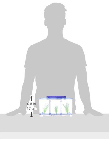 Deluxe Triple Betta Bow Aquarium Tank - includes Under Gravel 3 ...