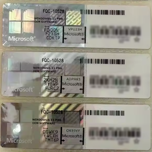 Microsoft Windows 11 Pro Standartlizenz Vollversion 64 Bit OEM DVD FQC ...